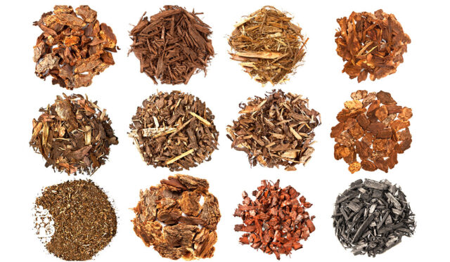 Mulch In The Garden: An Easy Guide | Garden Culture Magazine