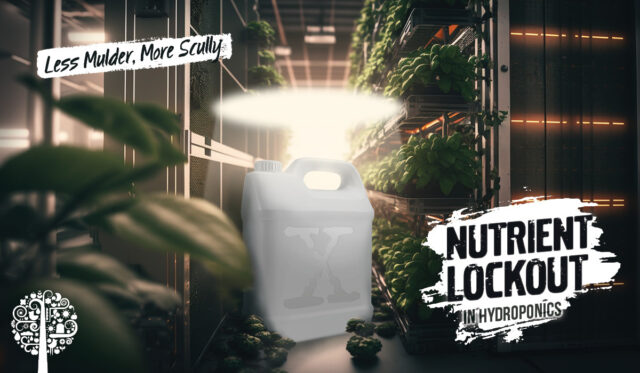 Nutrient Lockout In Hydroponics Explained | GCM