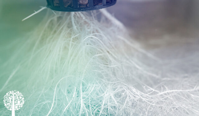 Nutrient Lockout In Hydroponics Explained – Nature's Gateway