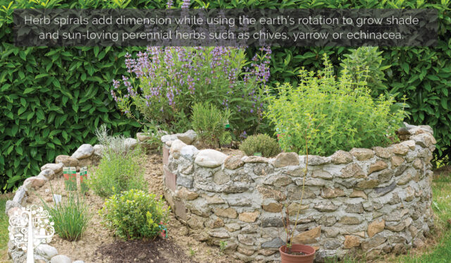 Edimental Gardens: Beauty and Food Security in One! | GCM