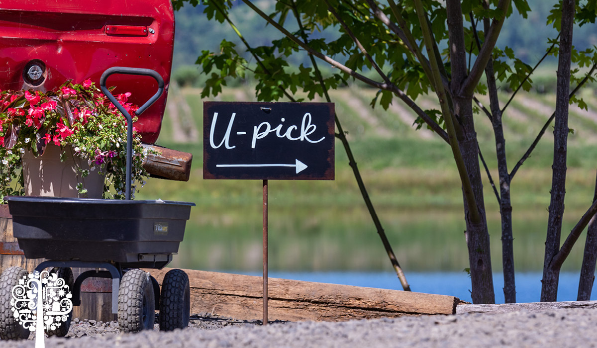 The Perfect U-Pick Farm Experience | Garden Culture Magazine