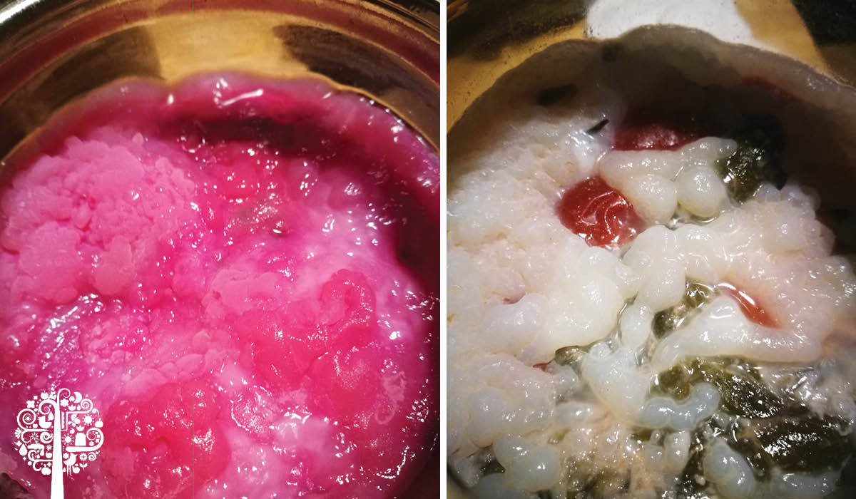 Vinegar Fermentation: My New Delicious Addiction | GCM