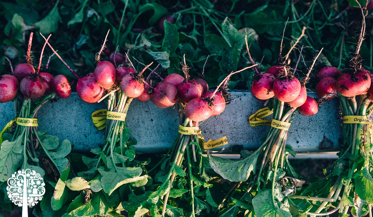 Tito’s Handmade Vodka: Where Love Grows | GCM