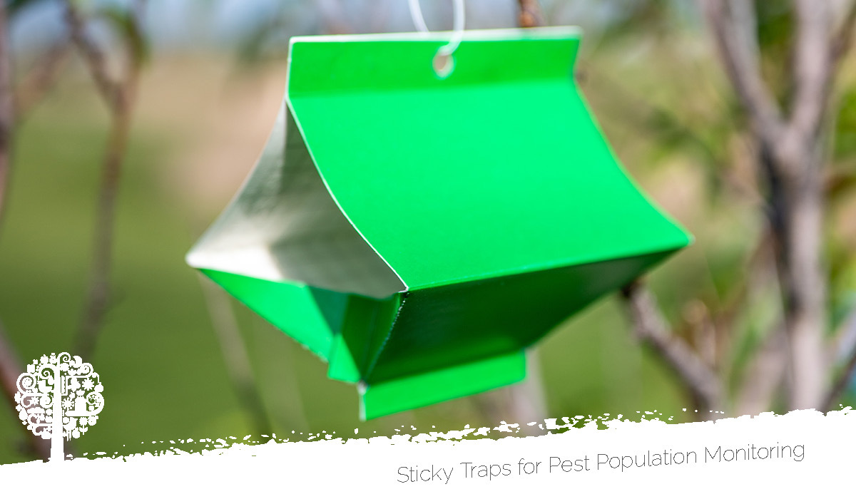 Data Collection: Skip Snoozing on Your Garden | GCM