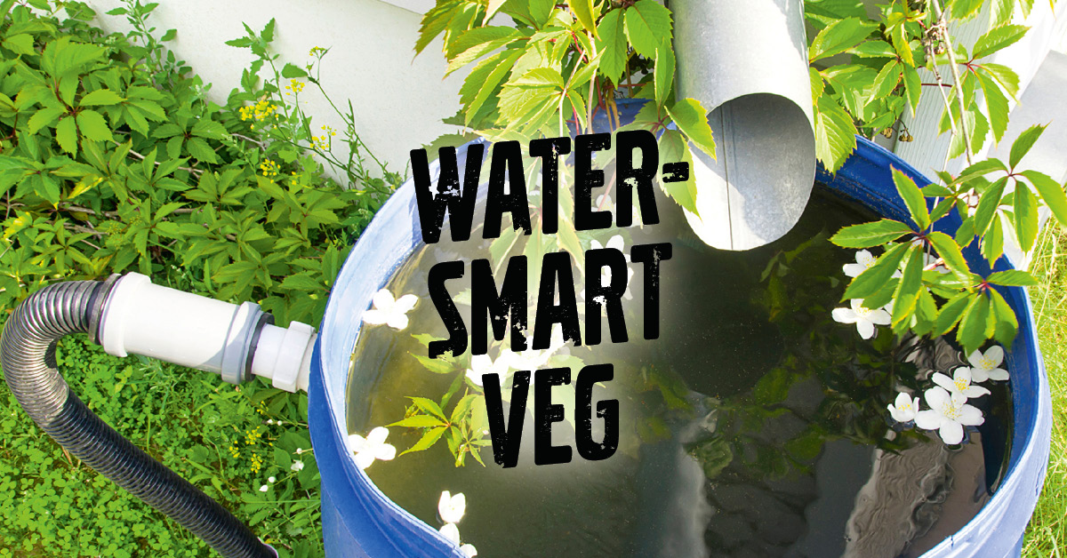 Save Water: Veggies for the Water-Smart Gardener | GCM