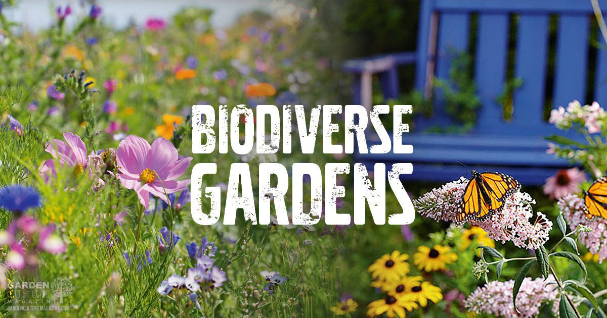 Biodiverse Gardens Improve Pollination, Harvests, and Pest Control ...