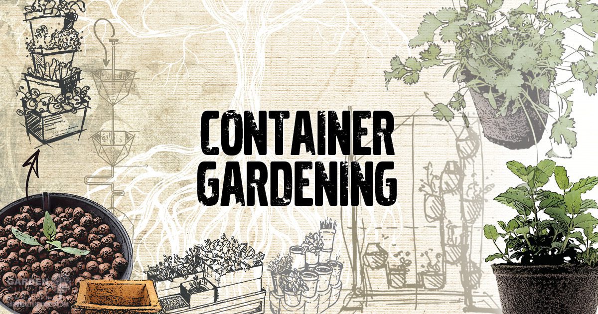 How To Choose The Right Containers For Growing Food | Garden Culture ...
