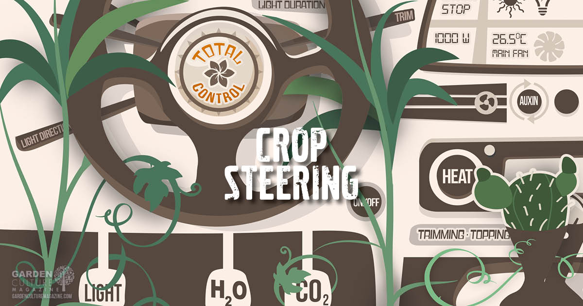 Using Climate And Irrigation As Crop Steering Tools Through Flowering ...