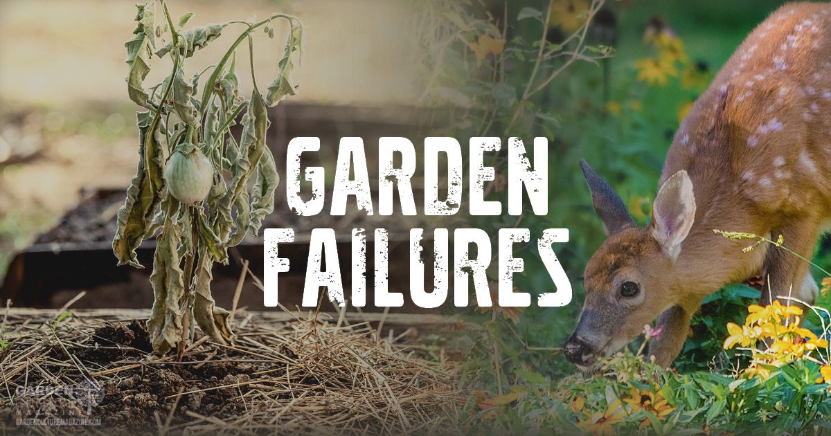 Dear Diary: The Summer My Gardens Failed | Garden Culture Magazine