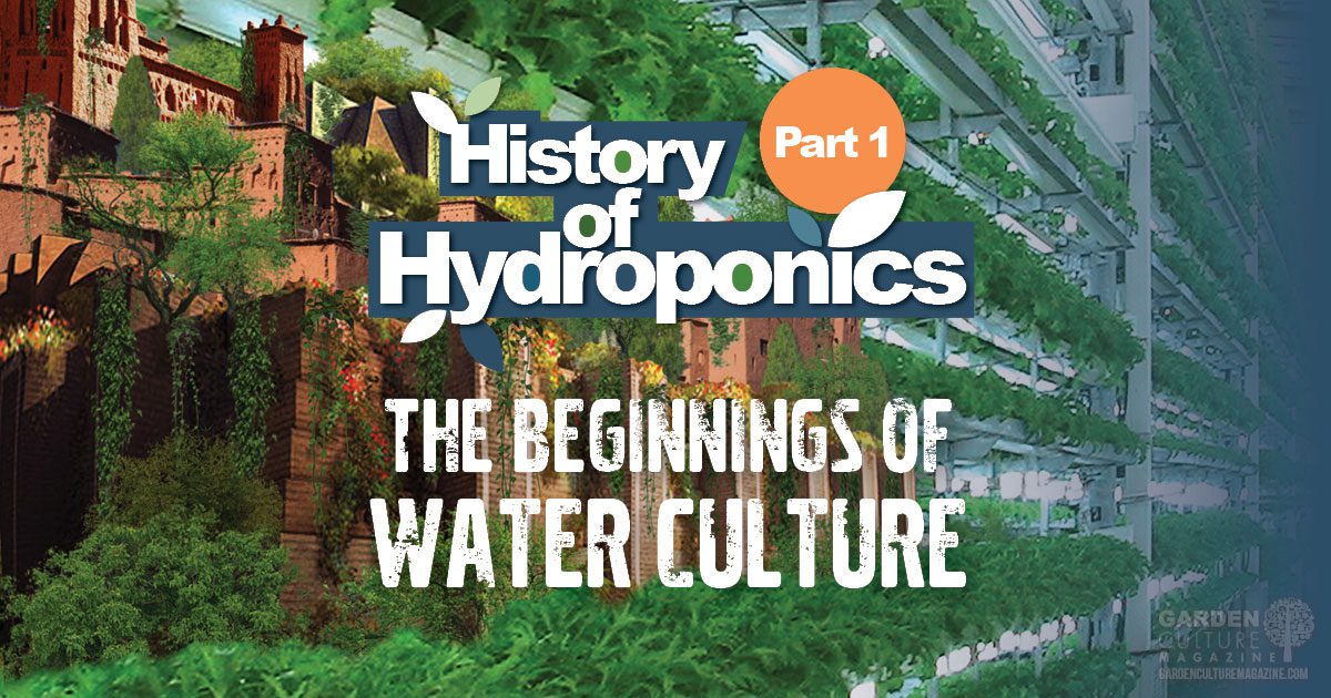 History of Hydroponics, Part I: The Beginnings of Water Culture ...