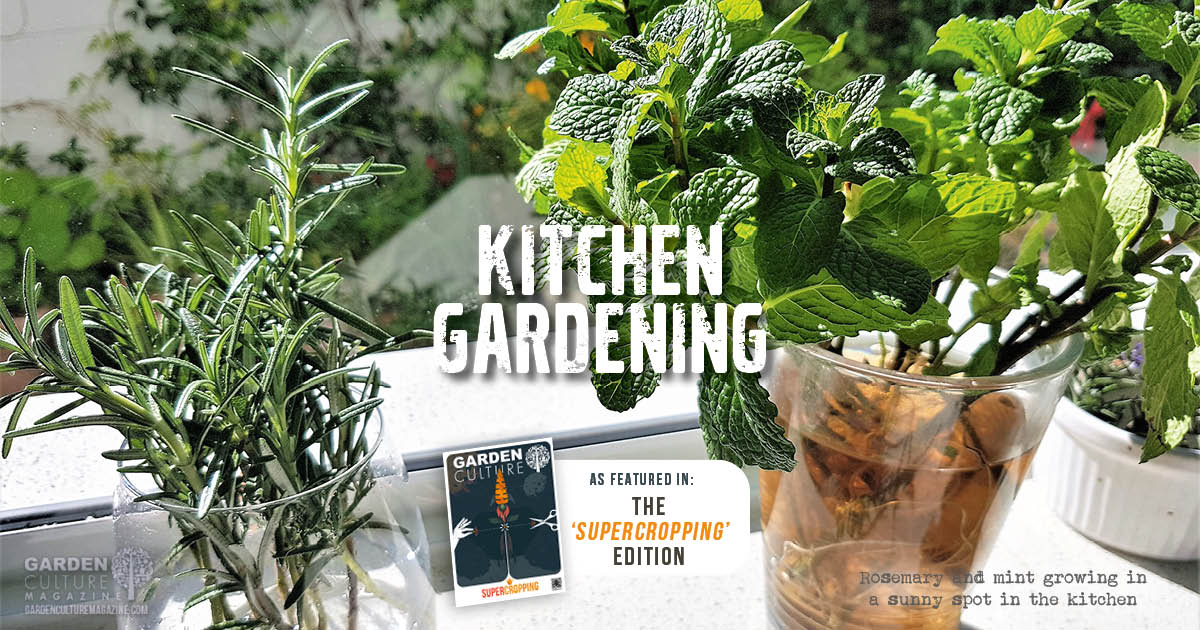 Budget-Friendly Ways To Grow Food | Garden Culture Magazine