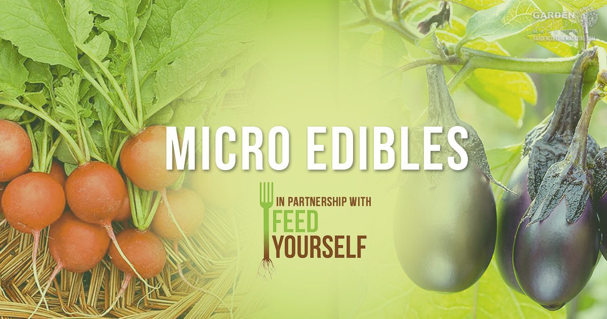 Growing Micro Fruits, Veggies, and Herbs in Tiny Spaces | Garden ...