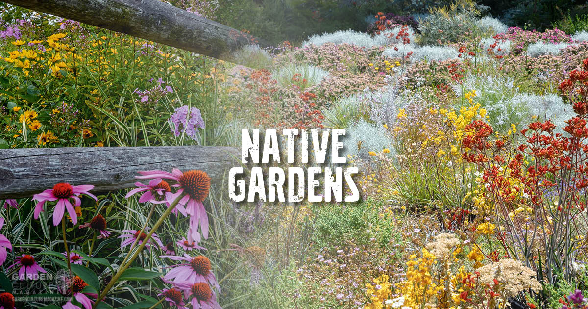 Plant A Native Garden Your Neighbors Will Love