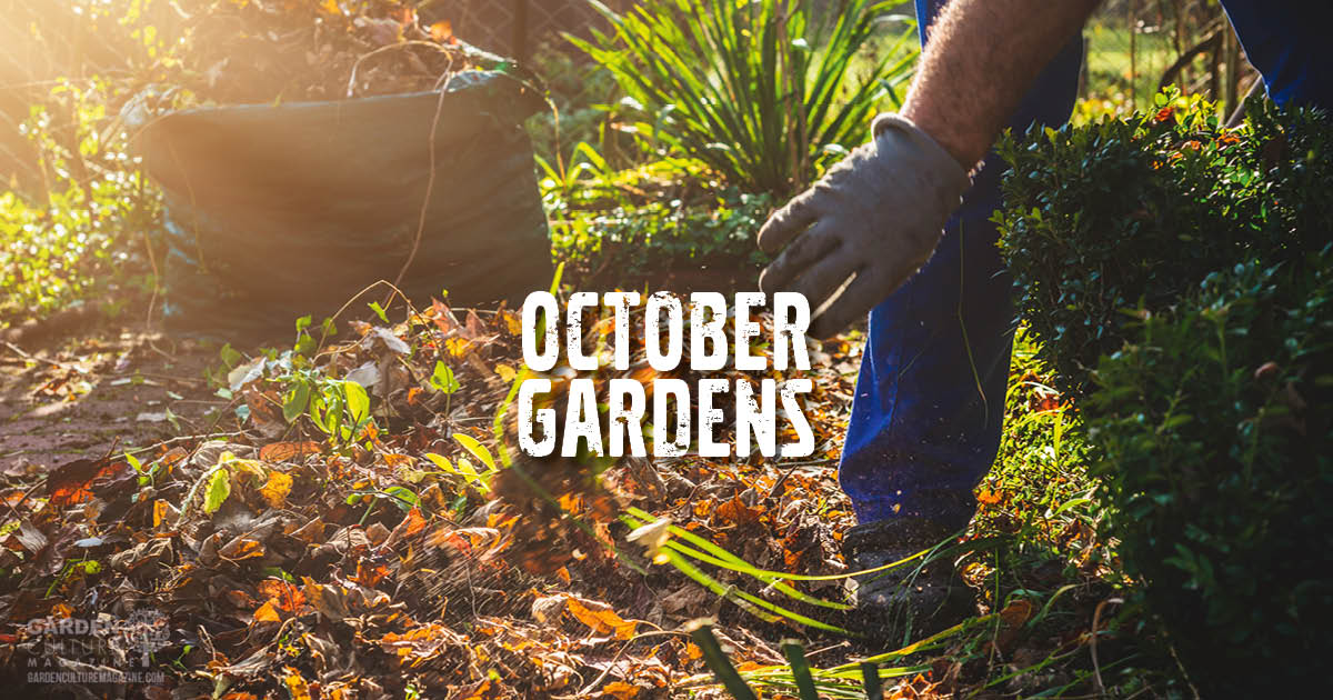 October Garden Tips: Time For Fall Gardening | Garden Culture Magazine