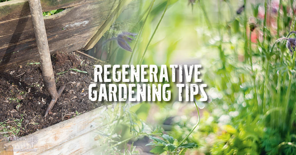5 Cool Ways You Can Practice Regenerative Agriculture At Home