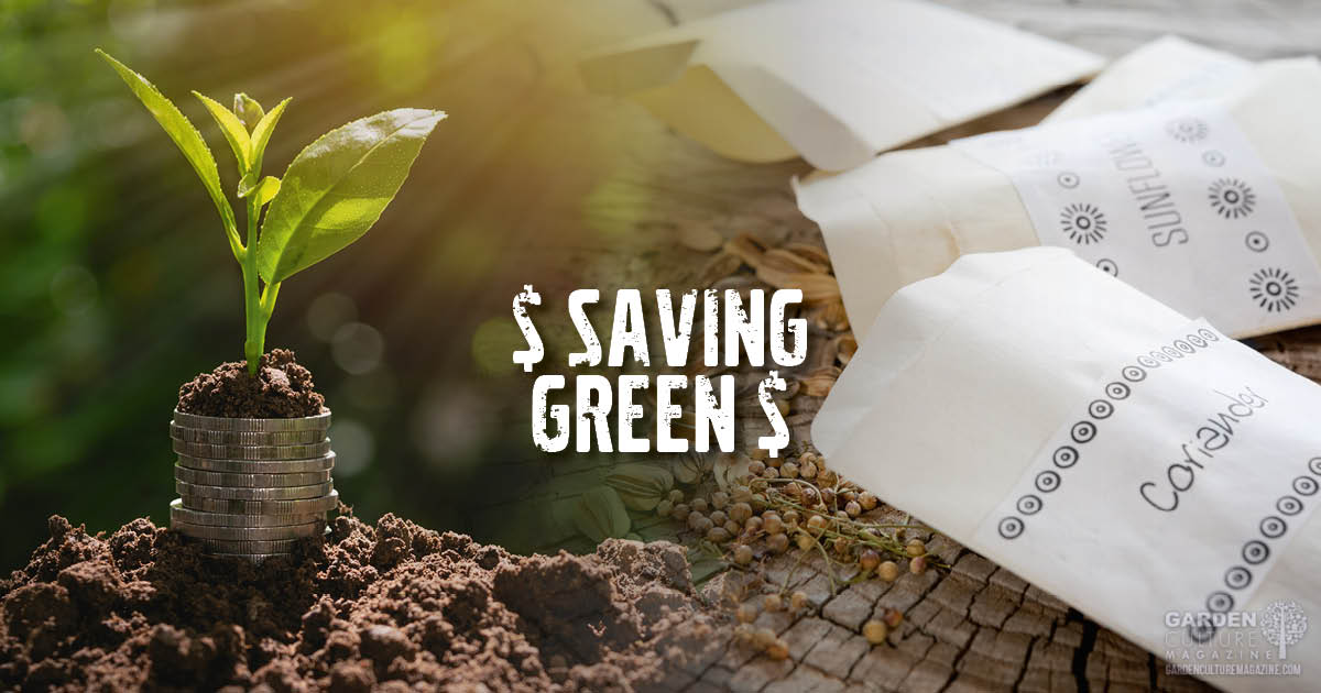 Save Some Green At The Nursery With These Plant Shopping Tips