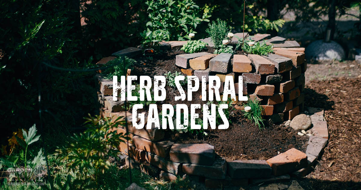 Growing Herbs In A Spiral Guided By The Sun | Garden Culture Magazine