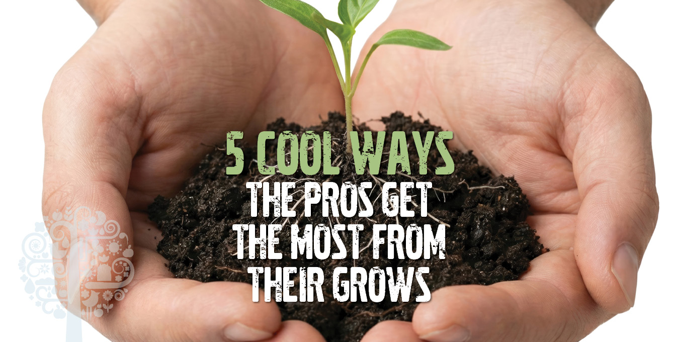 5 Cool Ways the Pros Get the Most from their Grows | GCM