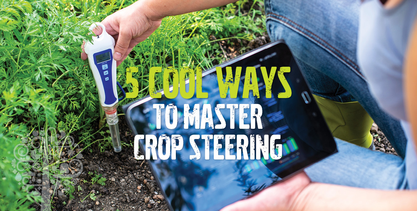5 Cool Ways to Master Crop Steering | GCM
