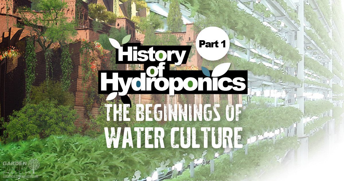 History of Hydroponics, Part I: The Beginnings of Water Culture ...