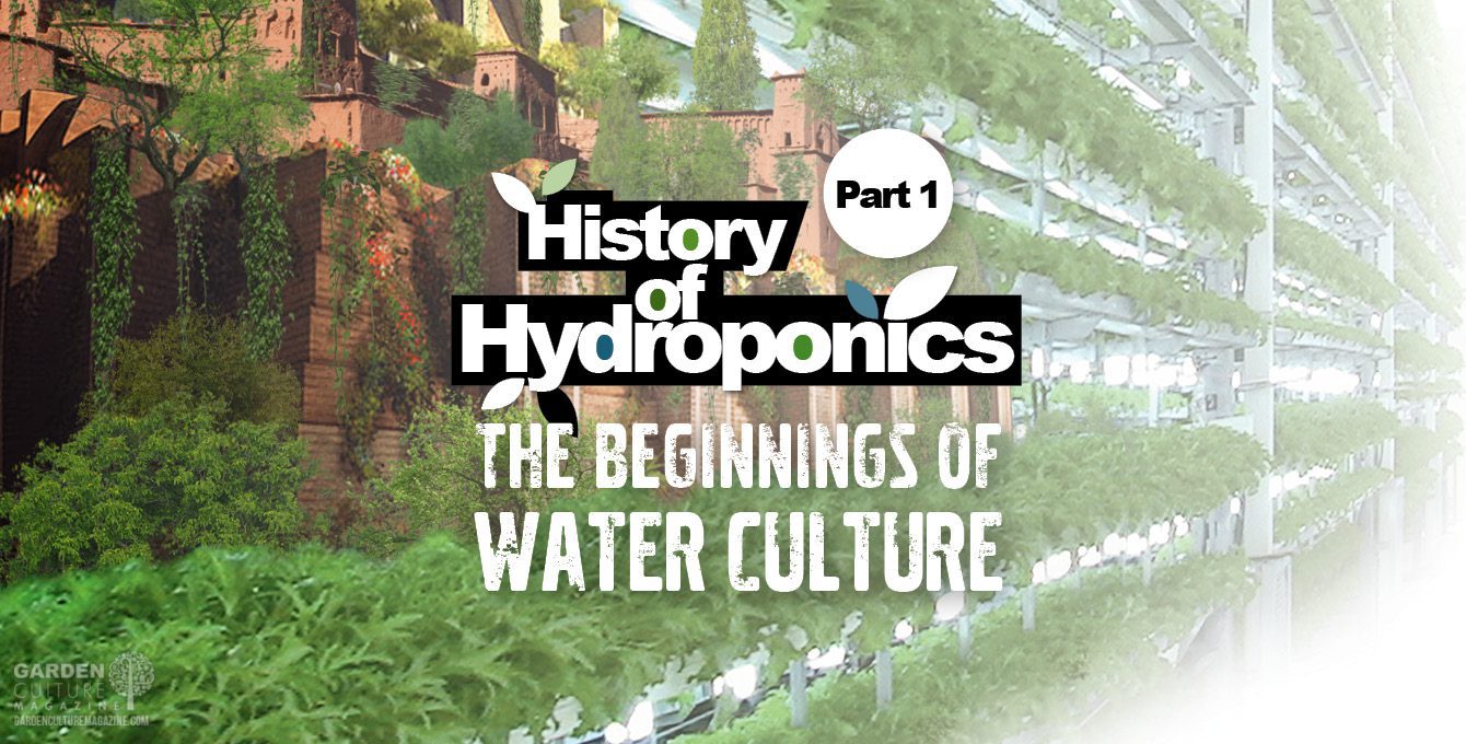 Going with the Flow: An Interview with Hydroponics Guru William Texier ...