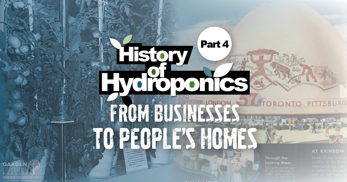History of Hydroponics, Part IV: From Businesses to People’s Homes ...