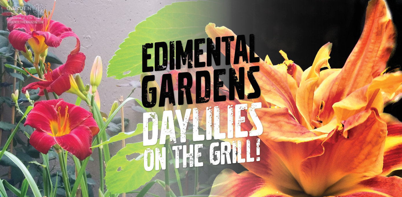 Edimental Gardens: Daylilies on the Grill! | GCM