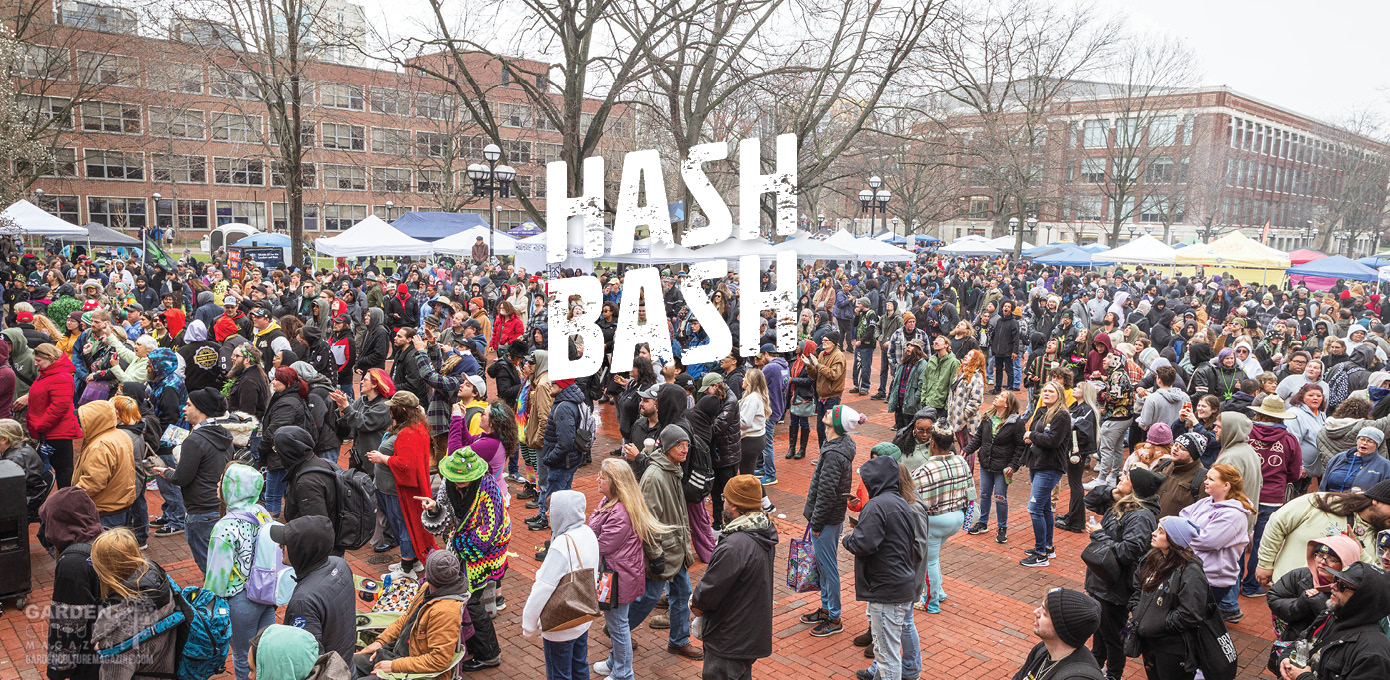 The Story of Hash Bash - 55 YRS at The Diag | GCM