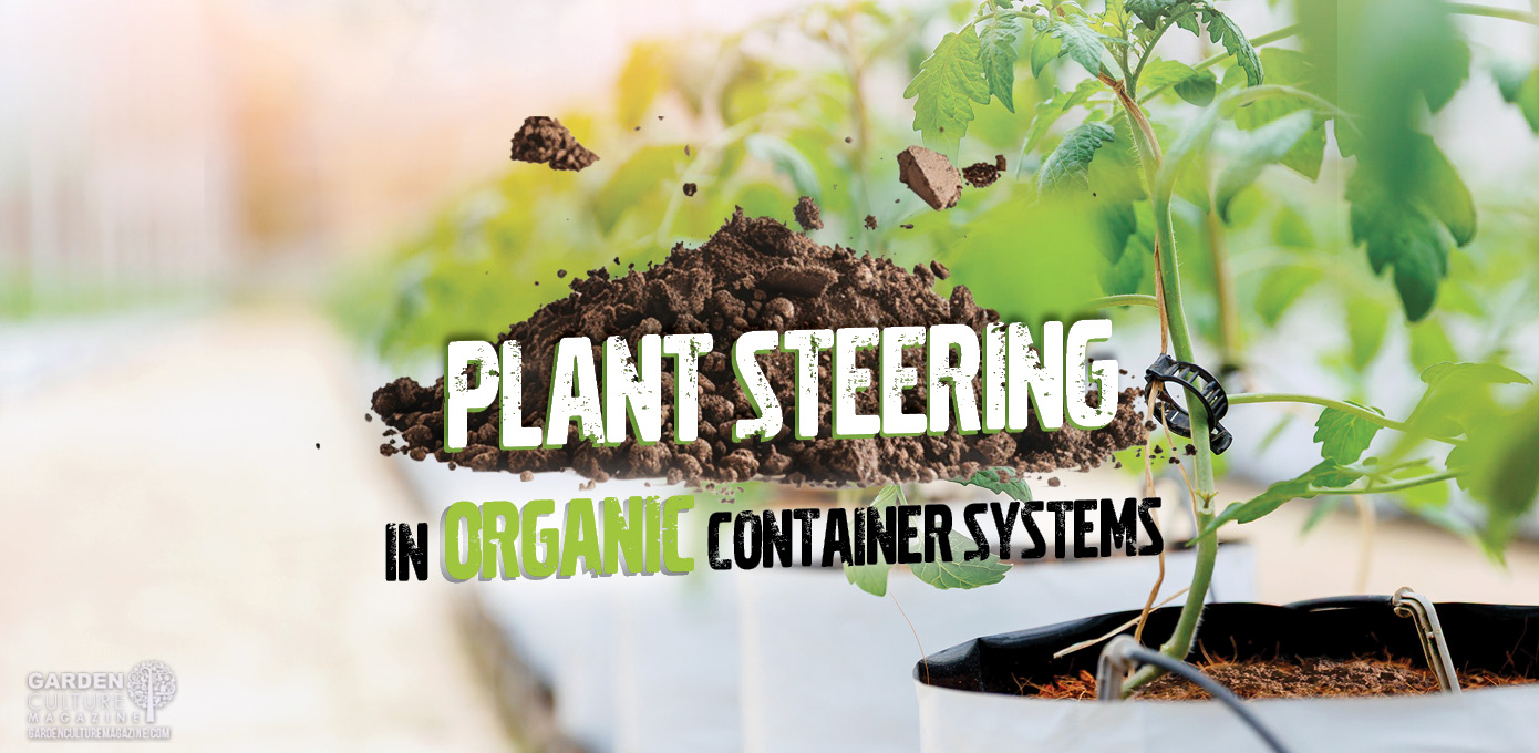 Plant Steering in Organic Container Systems | GCM