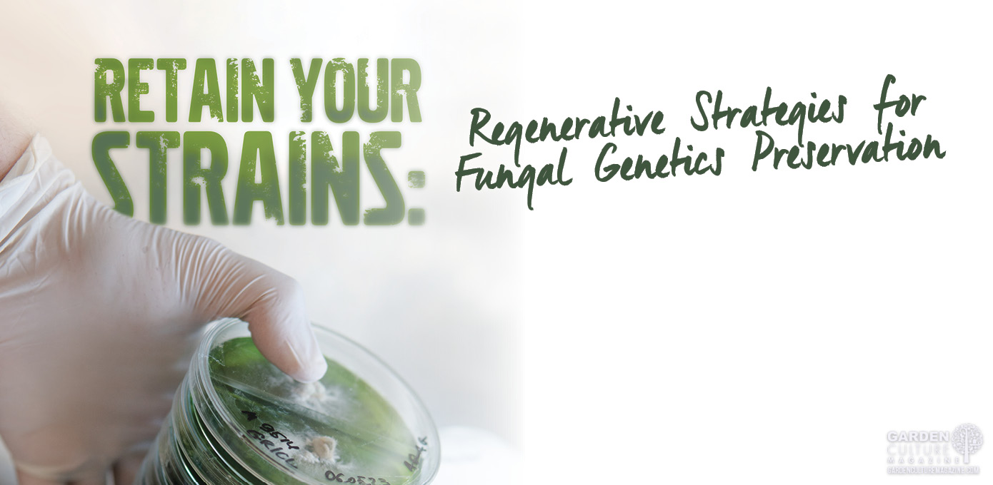 Fungal Genetics Preservation Made Simple | GCM