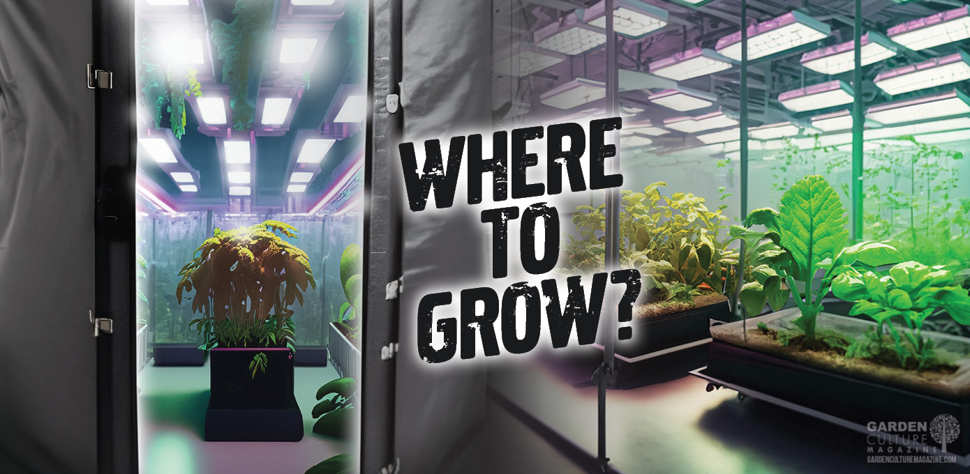 A Guide to Selecting and Indoor Growing Space | GCM