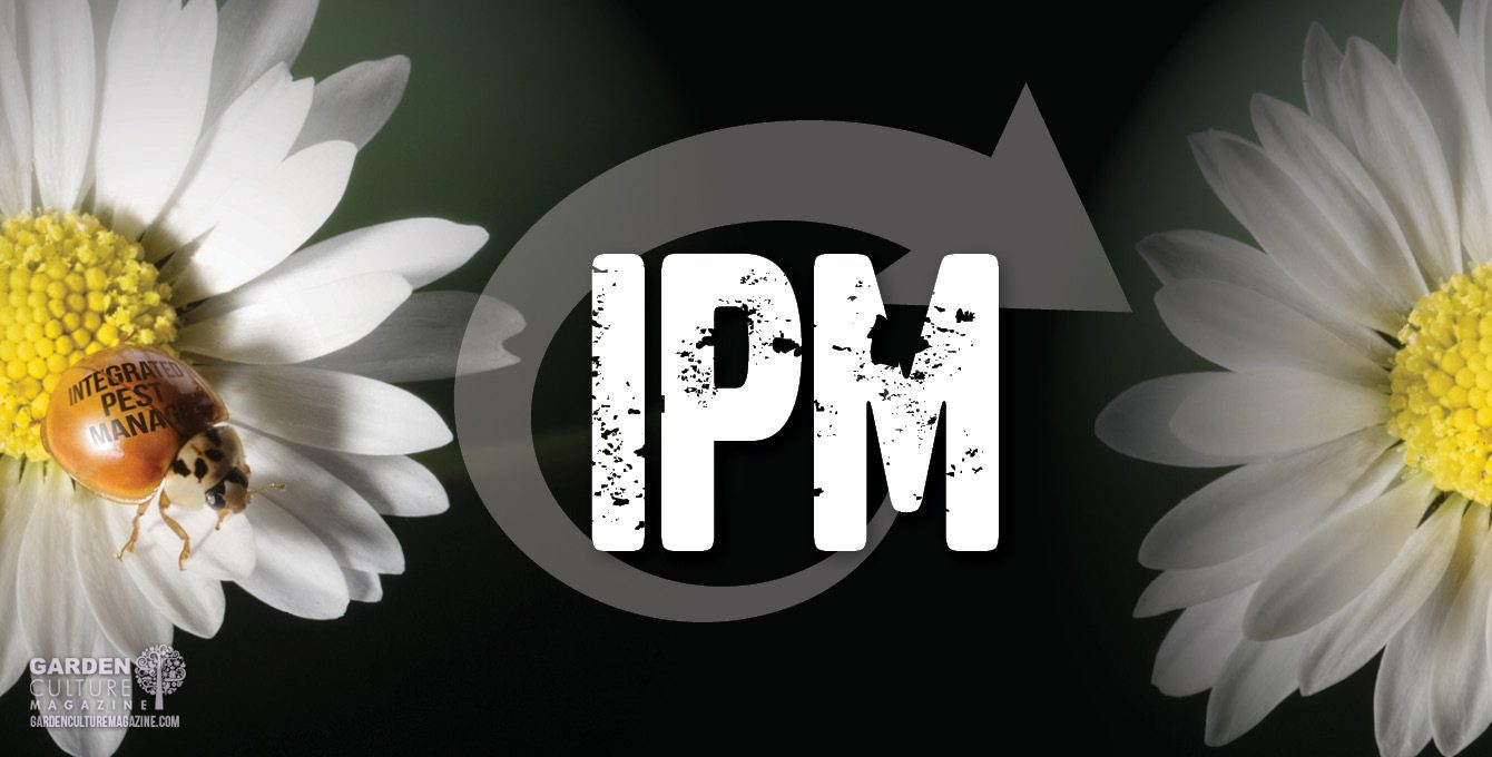 Why IPM is the Secret Solution to Your Gardening Success