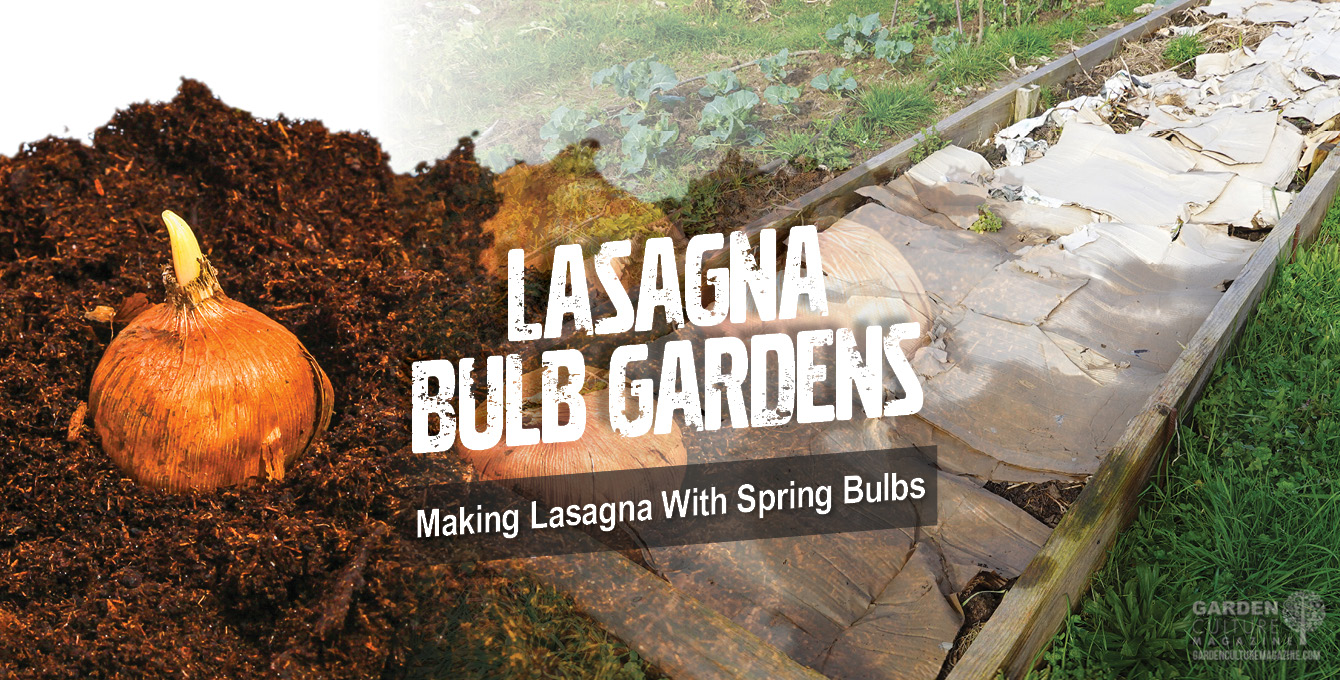 How to Make a Bulb Lasagna Garden | Garden Culture Magazine