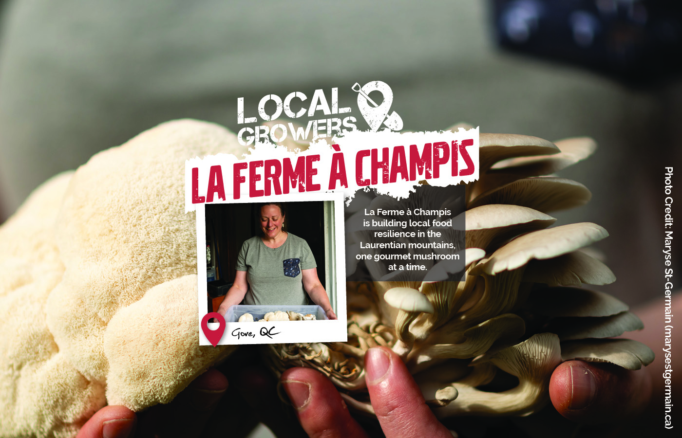 La Ferme à Champis | Local Growers | Garden Culture Magazine