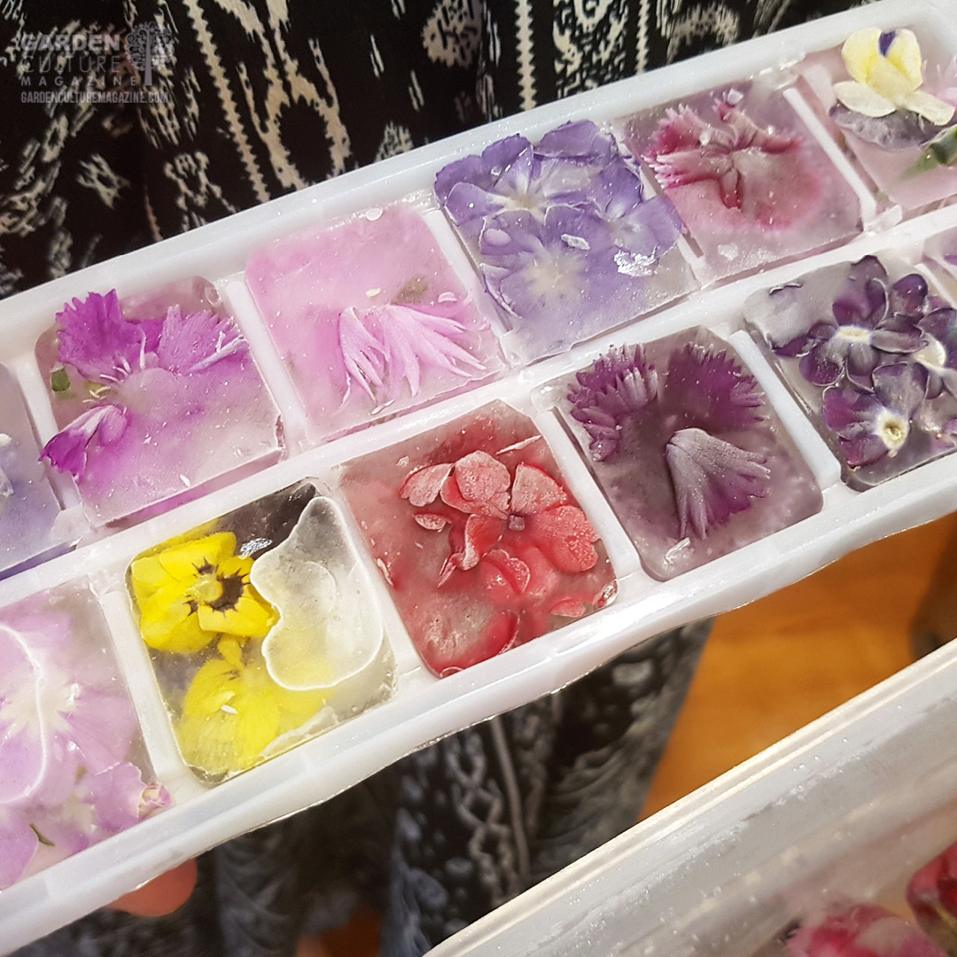 Growing Edible Flowers | Garden Culture Magazine