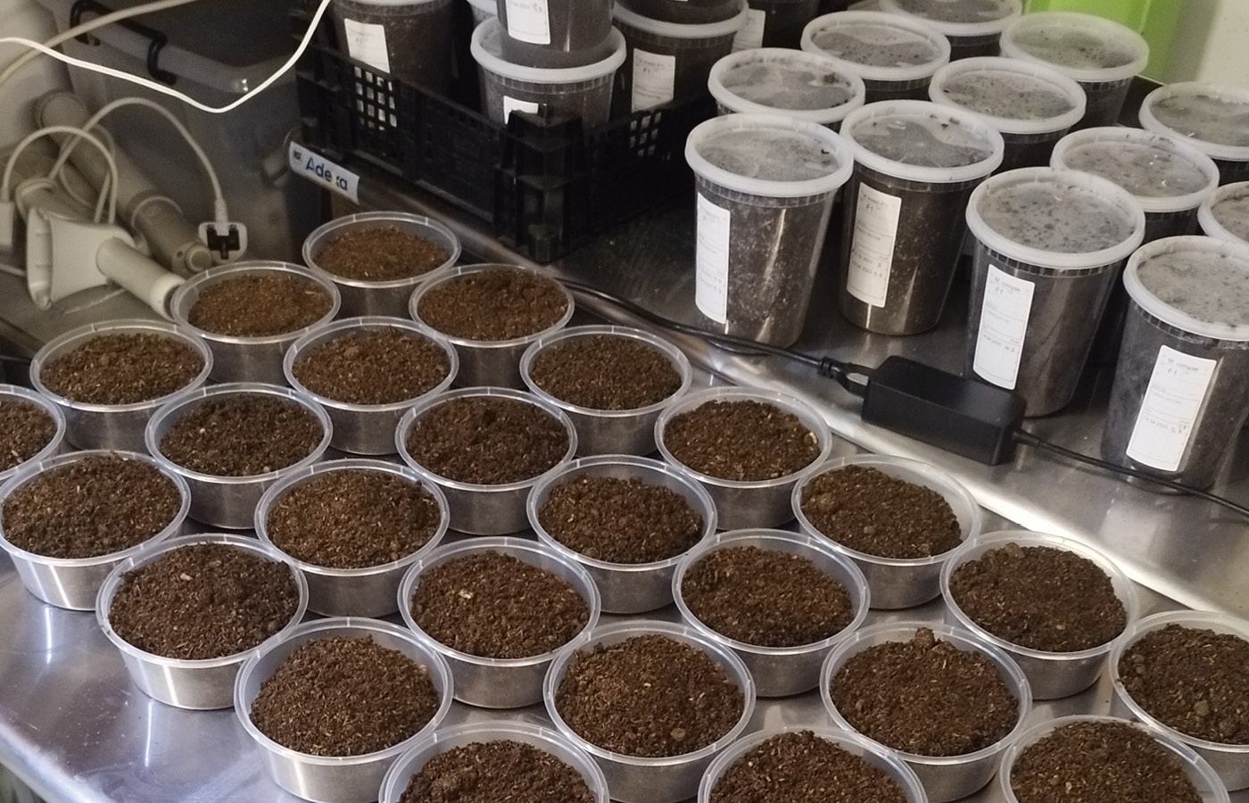 Polyspore | Local Growers