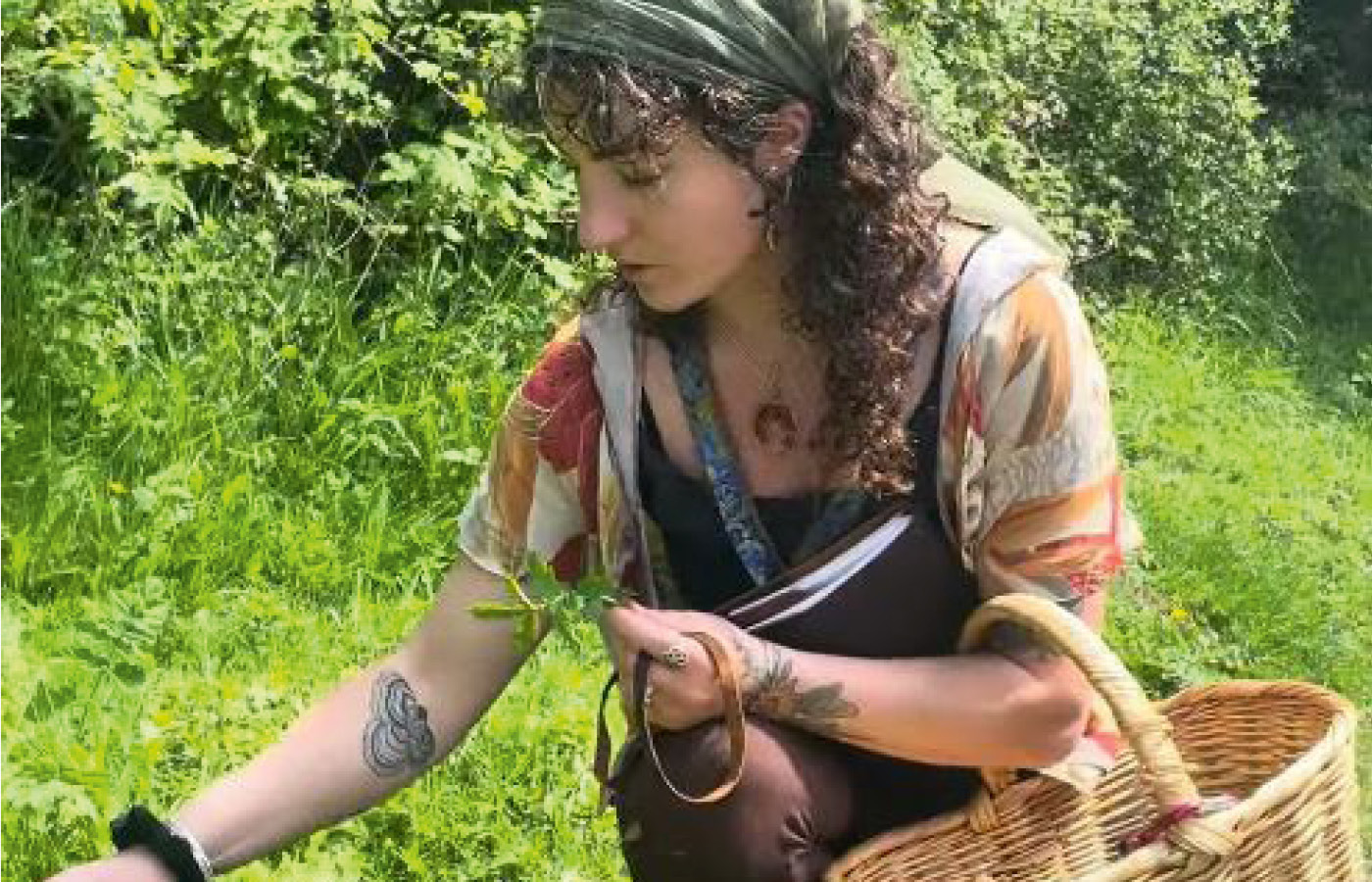 Isabel Openshaw | Local Growers