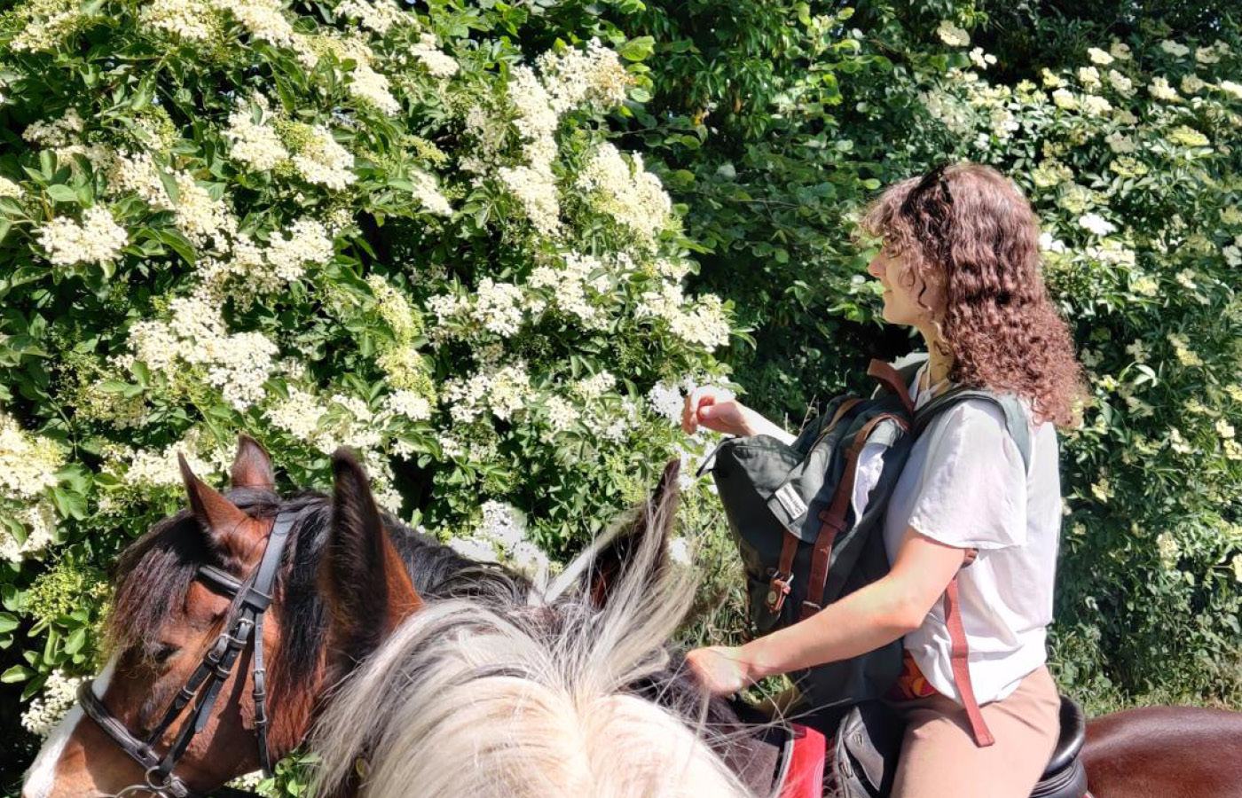 Isabel Openshaw | Local Growers
