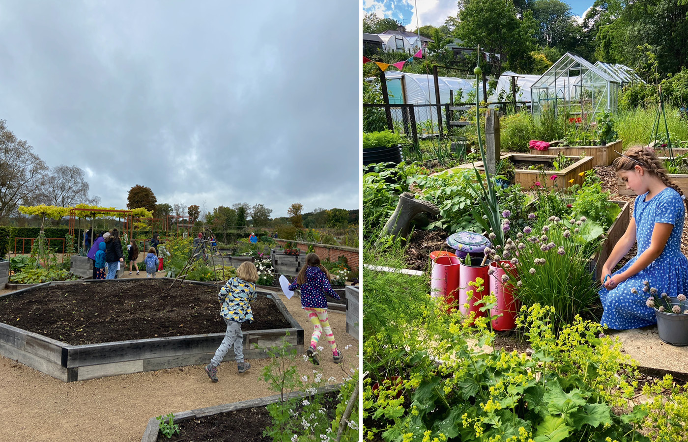 From Anjee's Garden | Local Growers