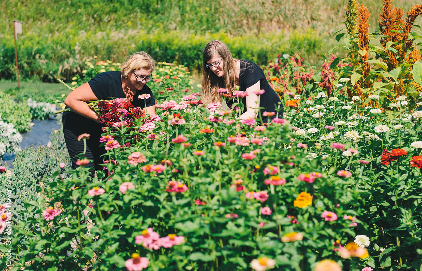 Garden Party Flower Farm | Local Growers