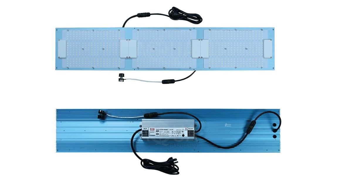 Big Lizard Slimline LED Grow Light - Perentie 320W | Marketplace