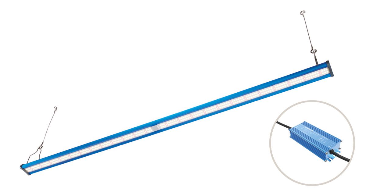 DAYLIGHT 100W Full-Spectrum LED Bar | Marketplace