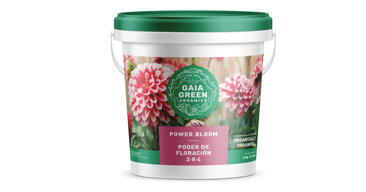 GAIA GREEN Power Bloom | Marketplace