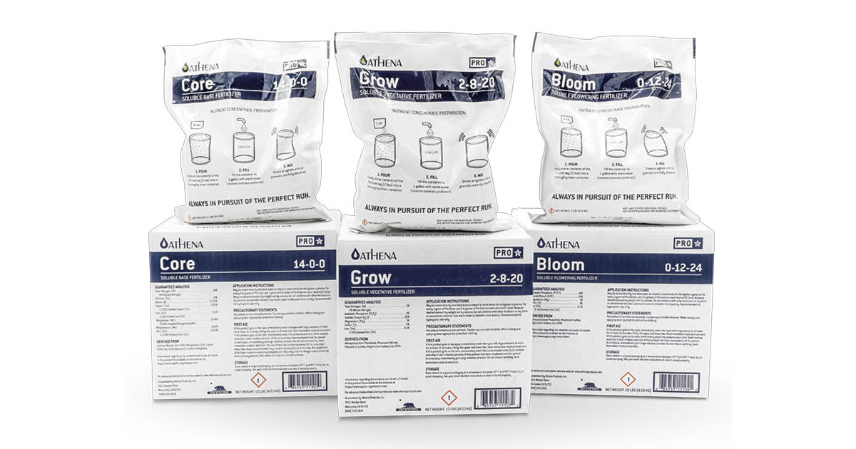 Athena Pro | Marketplace