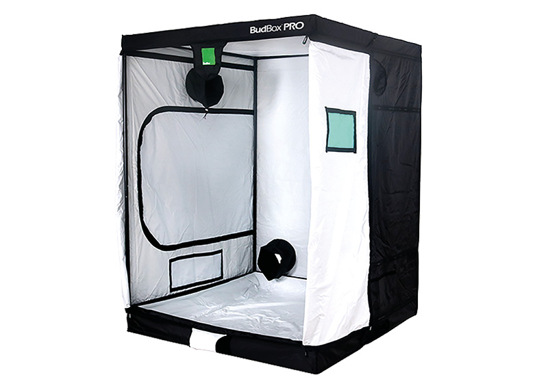 BudBox PRO XL Plus | Marketplace