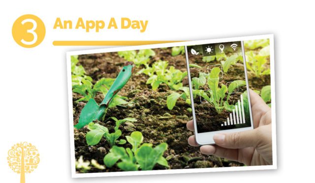 5 Cool Ways To Add Simple Tech To Your Indoor Garden | Garden Culture ...