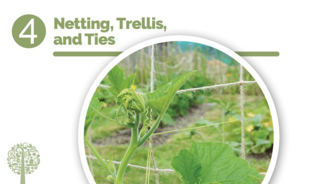 5 Cool Ways To Super Cropping Success | Garden Culture Magazine