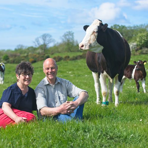 Rainton Farm | Local Growers