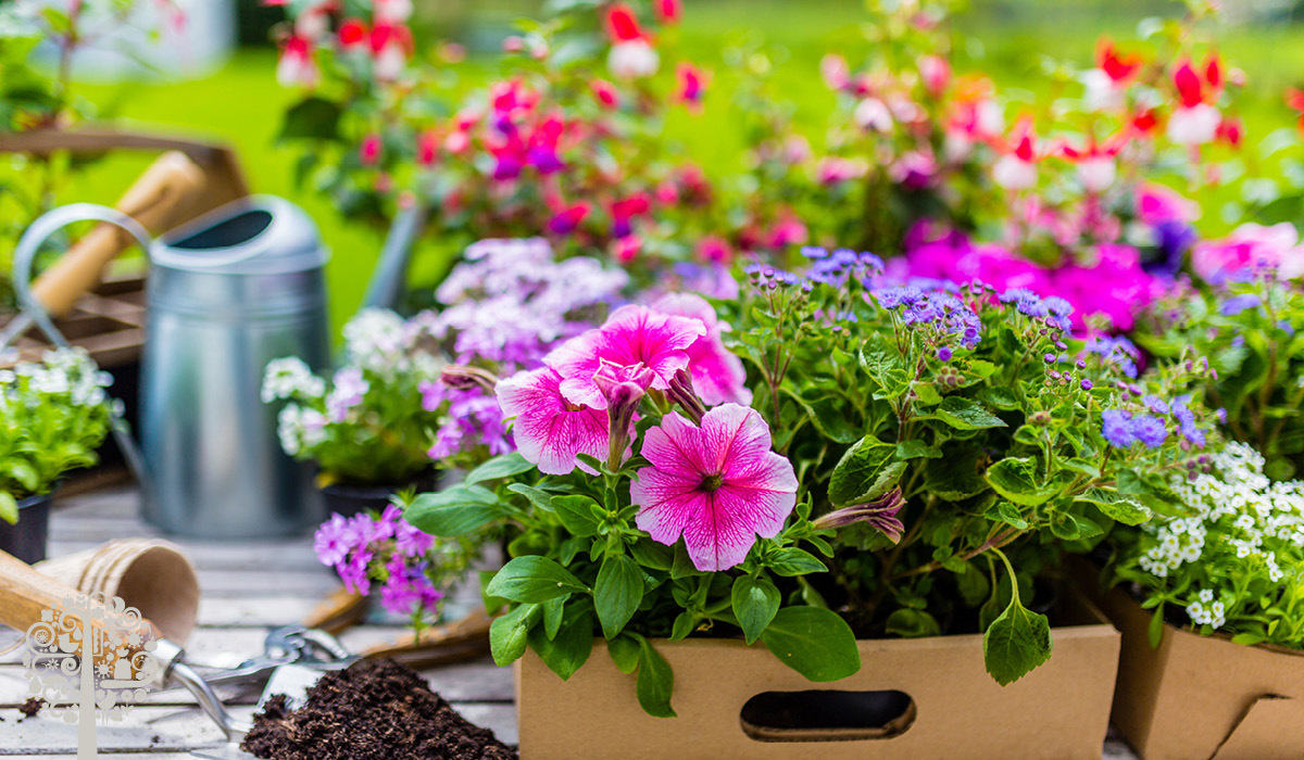 August Garden Tips And Tricks | Garden Culture Magazine