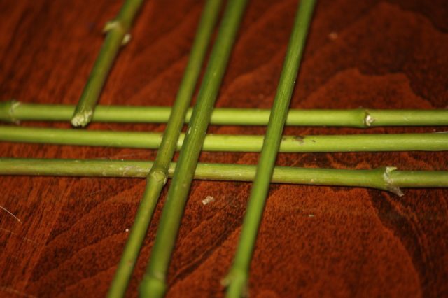 Backyard to Basket in 6 Simple Steps | Garden Culture Magazine